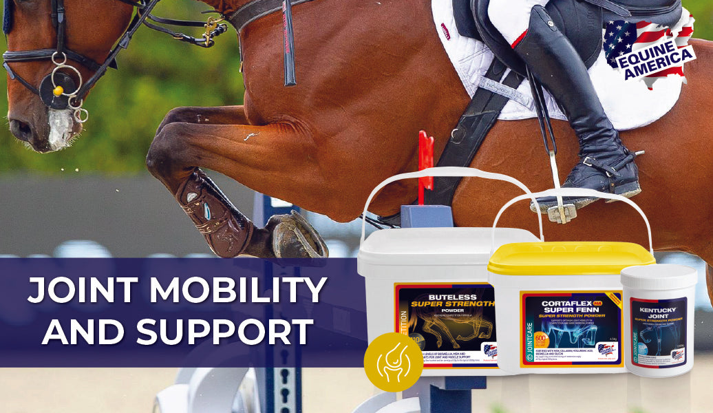 Achieve Optimum Joint Health and Mobility with Cortaflex and Buteless